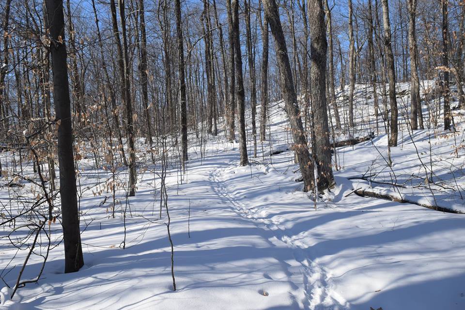 Exceptional Forest Ecosystems – Forêt-la-Blanche Ecological Reserve